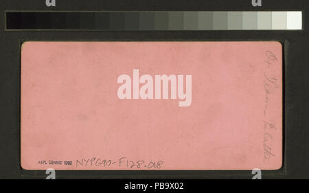 Ox team, Palatka, Florida Ox team, Palatka, Florida.; Ox team, Palatka ...