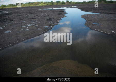 La Brea Pitch Lake, natural lake of tar rising from below with crust ...