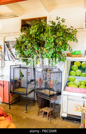 MERCED, CALIFRONIA - OCT 4, 2015: Merced fruit barn, East Highway 140 ...