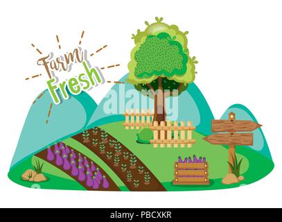 farm fresh cartoon Stock Vector Image & Art - Alamy