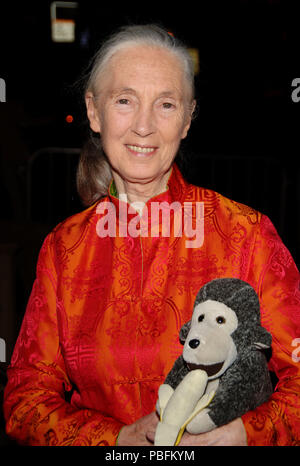 Jane Goodall arriving at the Jules Verne Adventure Film Festival ...