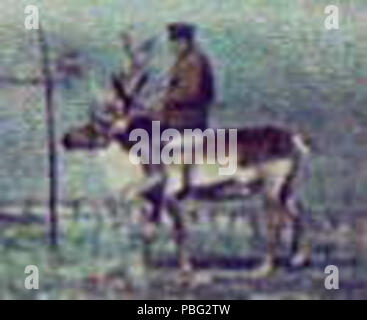 Siberian reindeer camp Stock Photo - Alamy