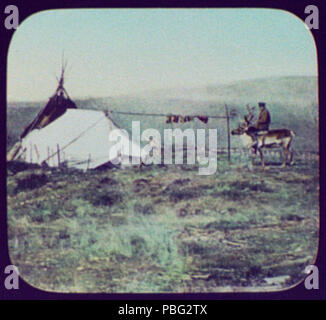 Siberian reindeer camp Stock Photo - Alamy