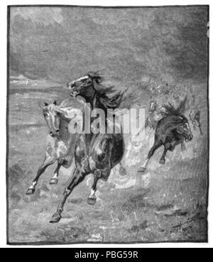Stampeding Horses Image Stock Photo - Alamy