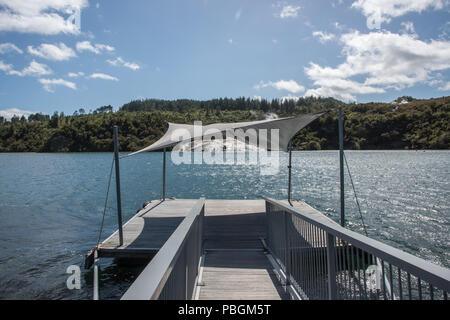 Jetty on Lake Ohakuri with water lilies and lush forest at the ...