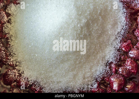 Cooking cherry jam . Hot dark red cherries. Pour the sugar . Site about ...