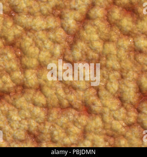 Body fat texture, fat mass, Background of human body fat. Excess fat ...