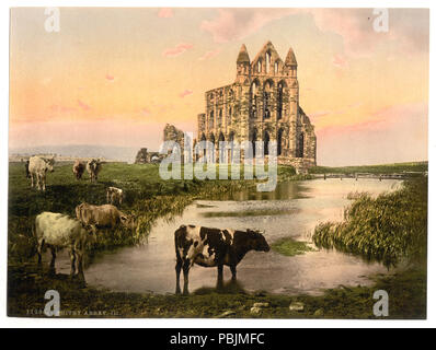 Whitby, the abbey, III., Yorkshire, England, Image shows the ruins of ...