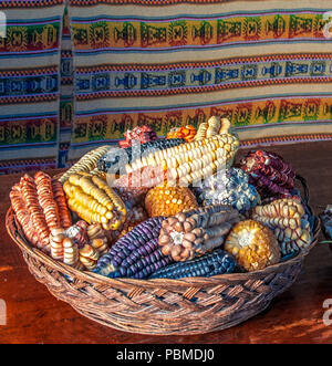 corn cob varieties in Peru Stock Photo - Alamy
