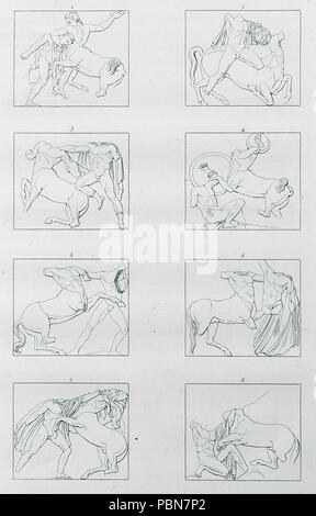 1020 Metopes from the north side of the Parthenon- Centauromachy ...