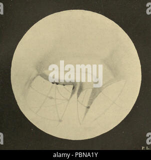 Lowell Mars (1894) Plate 18 Stock Photo - Alamy