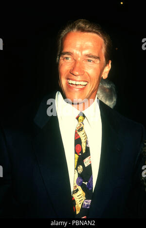 CHRISTMAS IN CONNECTICUT, Arnold Schwarzenegger, 1992 Stock Photo - Alamy