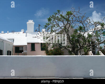 Street at Bermuda islands. Houses and big tree Stock Photo - Alamy