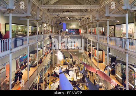 The Royal Scots Museum, inside Edinburgh Castle in Scotland Stock Photo ...
