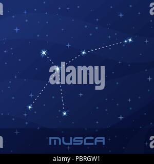 Musca constellation. Starry night sky. Cluster of stars, galaxy. Deep ...