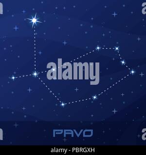 Pavo (The Peacock) constellation, vector illustration with the names of ...