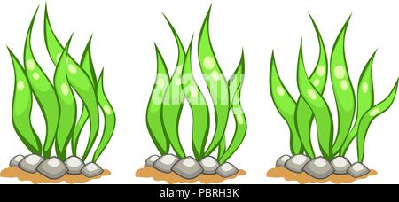 Algae vector animation frames for a game Stock Vector Image & Art - Alamy