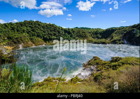 Frying Pan Lake,the largest hot spring in the world, Waimangu Volcanic Valley, North Island, New ...
