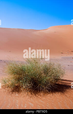 Rub Al Khali Desert, Saudi Arabia, True Colour Satellite Image. Rub ...