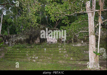 Part of Mayan city of Tikal, Mundo Perdido, Guatemala Stock Photo - Alamy