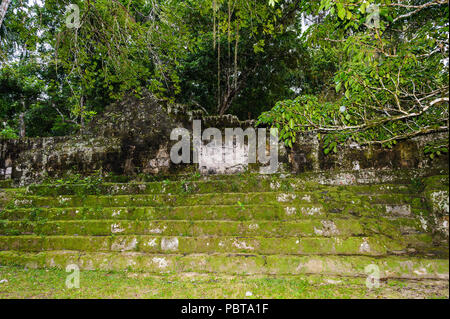 Part of Mayan city of Tikal, Mundo Perdido, Guatemala Stock Photo - Alamy