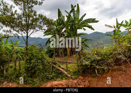 House in a One of the maya villages in Chiapas state of Mexico Stock ...