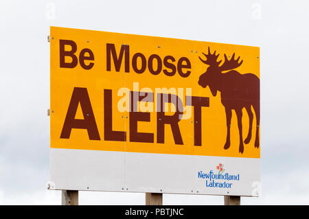 Warning sign for moose in Newfoundland, Newfoundland, CAN Stock Photo ...