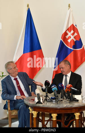Topolcianky, Slovakia. 29th July, 2018. Czech President Milos Zeman (left) and Slovak President ...