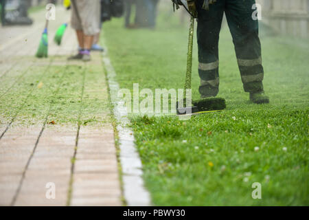 Law mower man trimming grass in the city Stock Photo - Alamy
