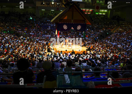 Group of Sumo Wrestlers Stock Photo - Alamy