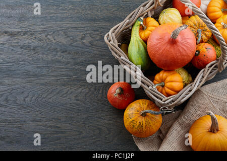 Wicker basket with colorful pumpkins and gourds for Halloween and ...