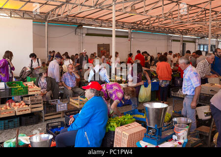 local farmers market in Lagos, Algarve, Portugal Stock Photo - Alamy