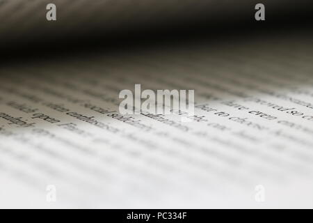 Black book with half open pages placed inside human head against white ...
