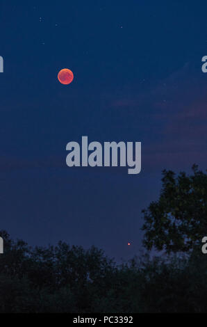 Planet Mars, red planet, on a dark background. Elements of this image ...