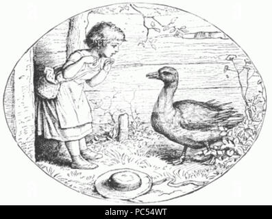 Fierce Goose Drawing Stock Photo - Alamy