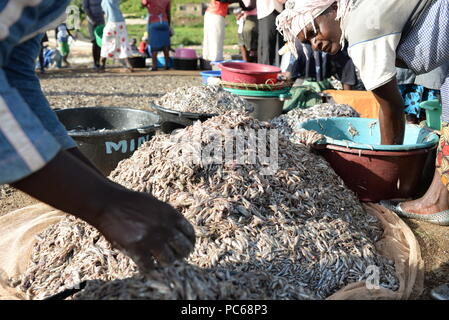 Sindo, Kenya. 03rd May, 2018. At the main beach of Lake Victoria, where ...