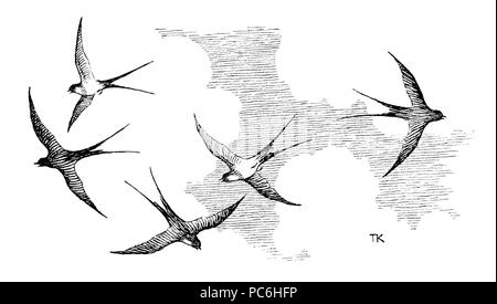 Jomfru Maria Og Svalen by Theodor Severin Kittelsen Stock Photo - Alamy