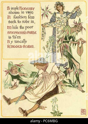 Illustration of Capsella bursa-pastoris (shepherd's purse) from 1546, showing its botanical ...