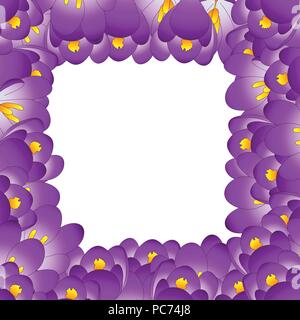 Purple Crocus Flower Border. Vector Illustration Stock Vector Image ...