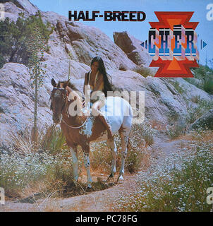 Cher - Vintage vinyl album cover Stock Photo - Alamy