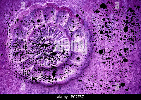 Ultra purple Ornate stone texture, circle rock shape, background for ...