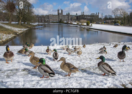 Stoneyhurst College, Clitheroe, Lancashire Stock Photo - Alamy