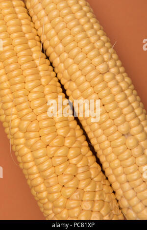 green colored maize farm on field for harvest are cash crops Stock ...