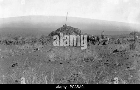Ahu A Umi Heiau Stock Photo - Alamy