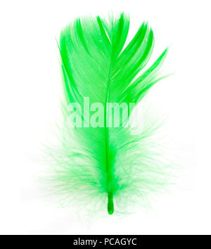 Feather elegant green puff isolated on the white background Stock Photo ...