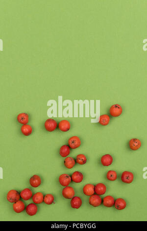 autumn background with natural elements Stock Photo - Alamy