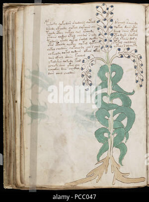 The Voynich Manuscript is an enigmatic 15th-century manuscript filled ...