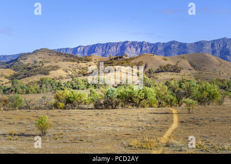 Panoramic landscape of Flinders Ranges in Ikara-Flinders National Park ...