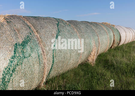 Row of hay bales, near Climax, Saskatchewan, Canada Stock Photo - Alamy
