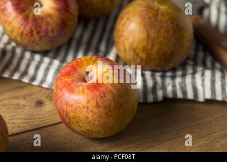 Organic Red Mottled Pluots Ready to Eat Stock Photo - Alamy